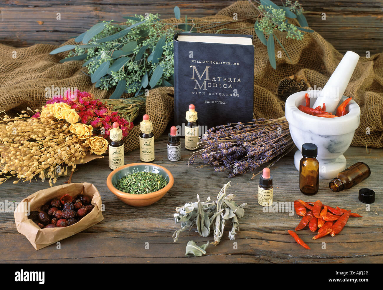 Ethnobotany hi-res stock photography and images - Alamy