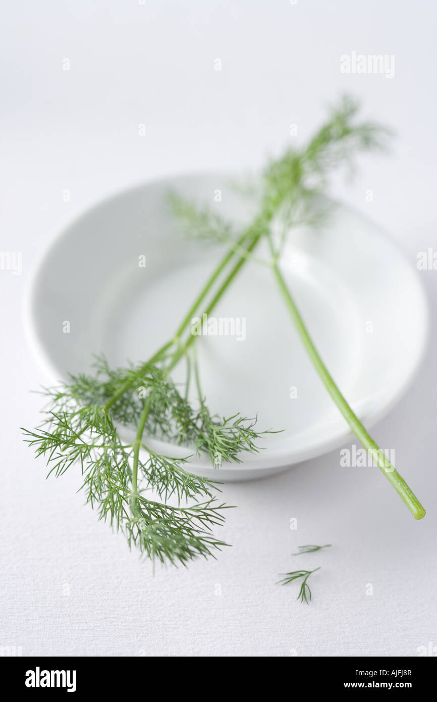 Dill on a plate Stock Photo - Alamy