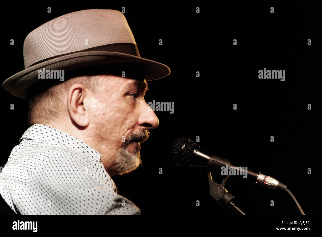 The traditional Cuban musician Pancho Amat in concert in Spain Stock ...