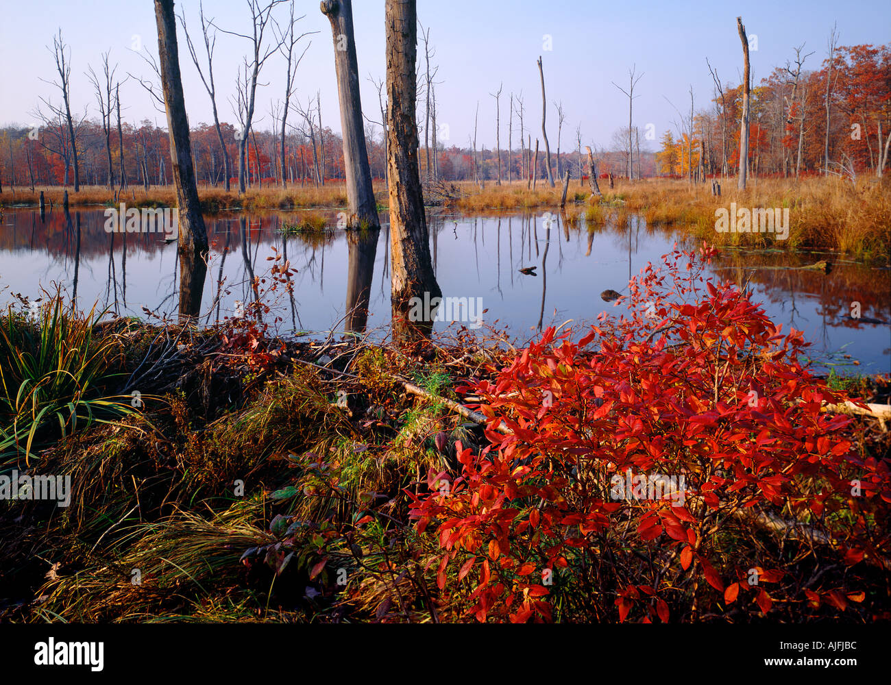 Northern new jersey hi-res stock photography and images - Alamy