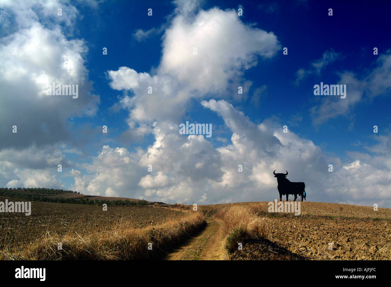 Spanish landscape with bull silhouette Stock Photo - Alamy