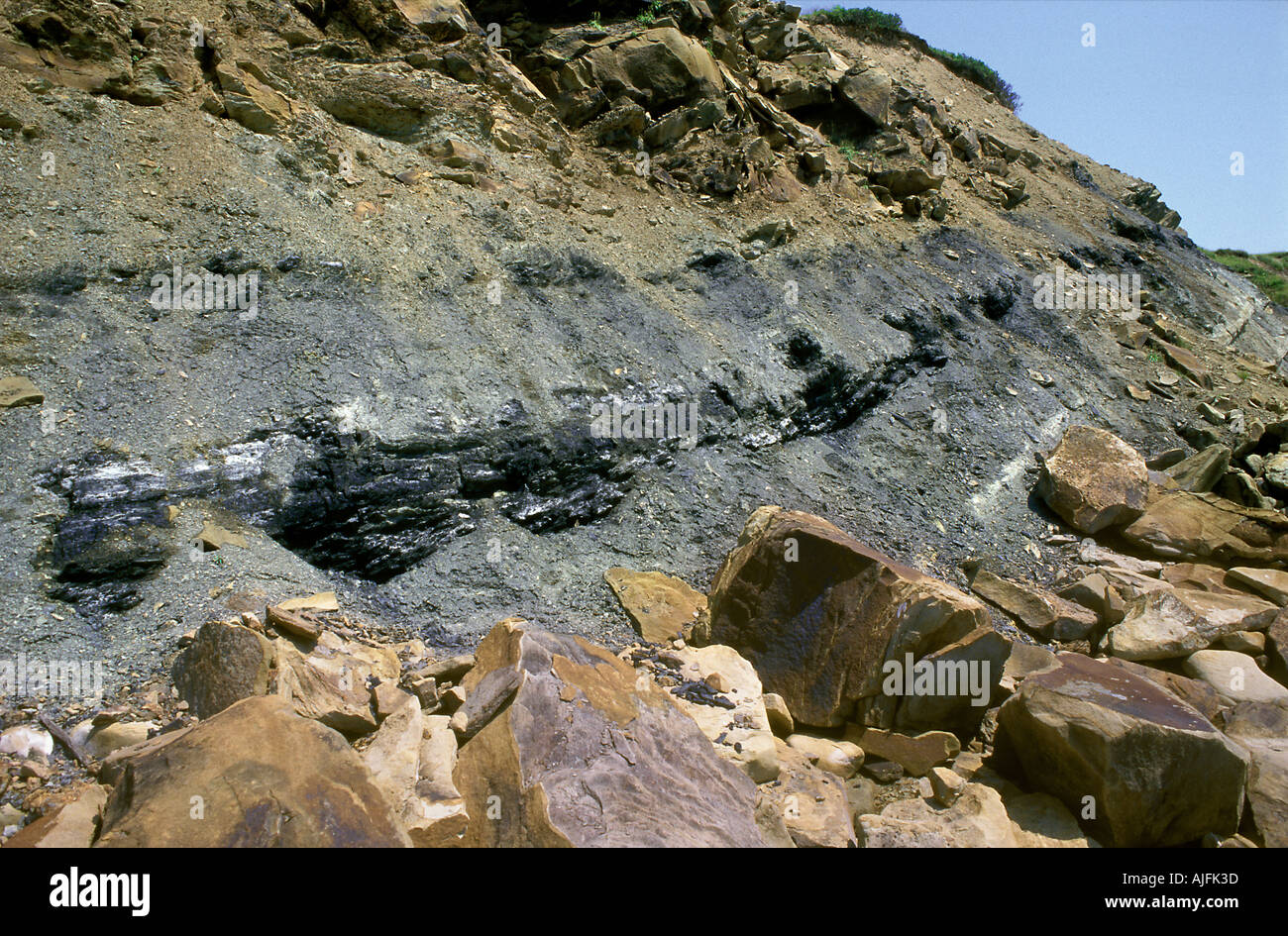 Bituminous Coal Vein Stock Photo - Alamy