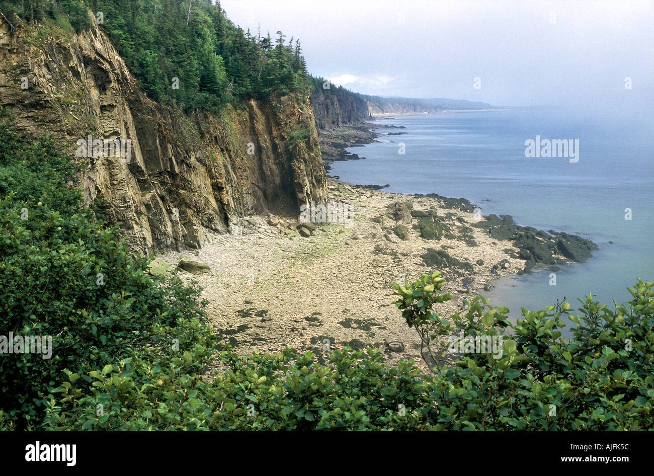 Slate Cliffs Tilted Strata Cape Enrage New Brunswick Canada Stock Photo ...