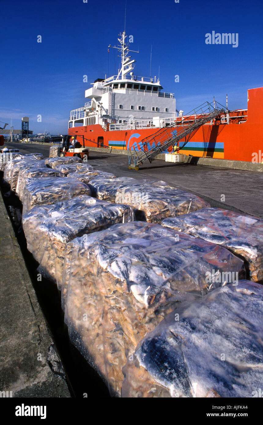 Norwegian Freighter Offloading Frozen Pollock Yarmouth Nova Scotia ...