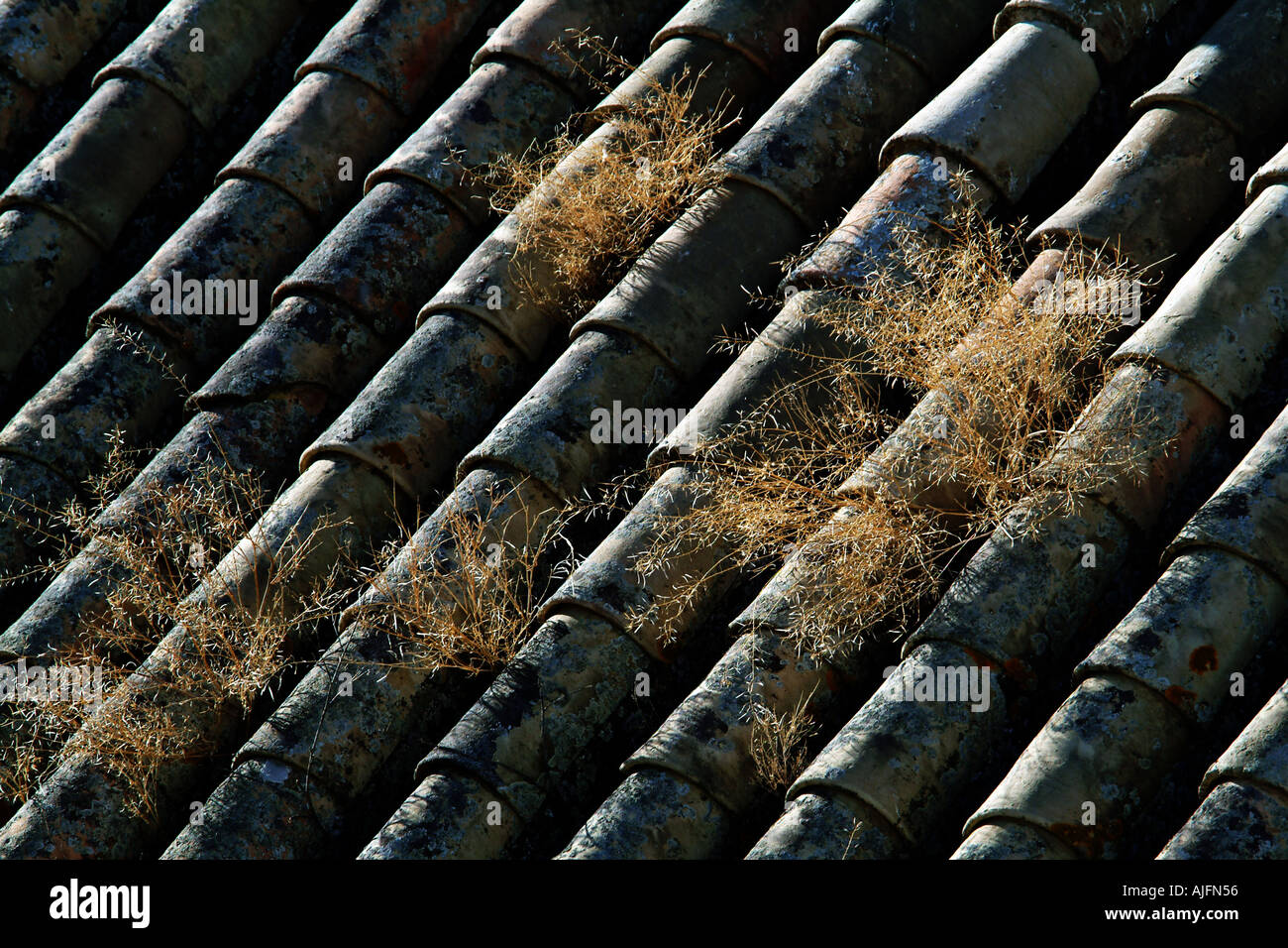 Arab tiles roof with bushes Spain Stock Photo - Alamy