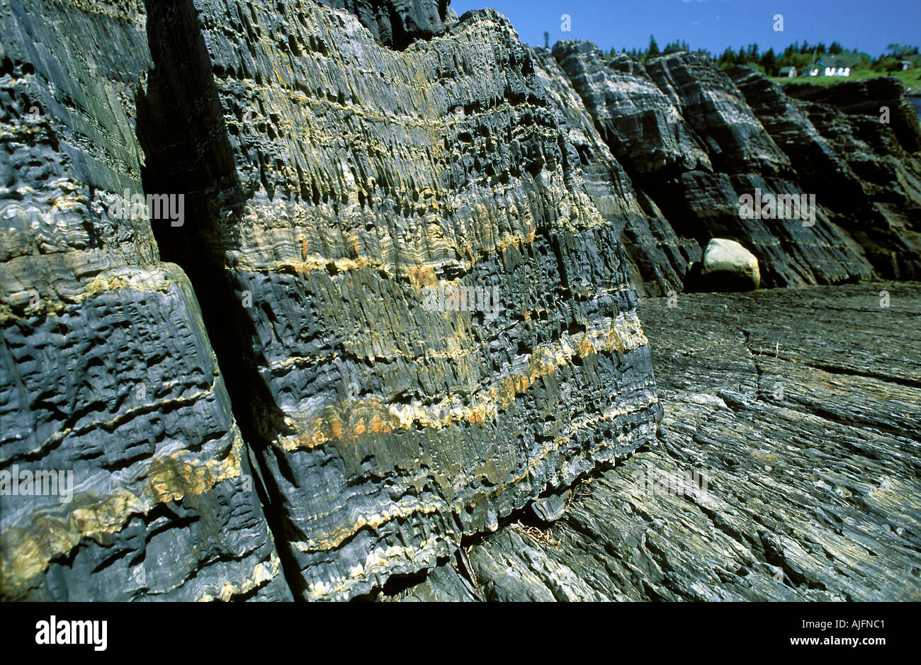 Thinly Bedded Slate The Blue Rocks Nova Scotia Canada Stock Photo - Alamy