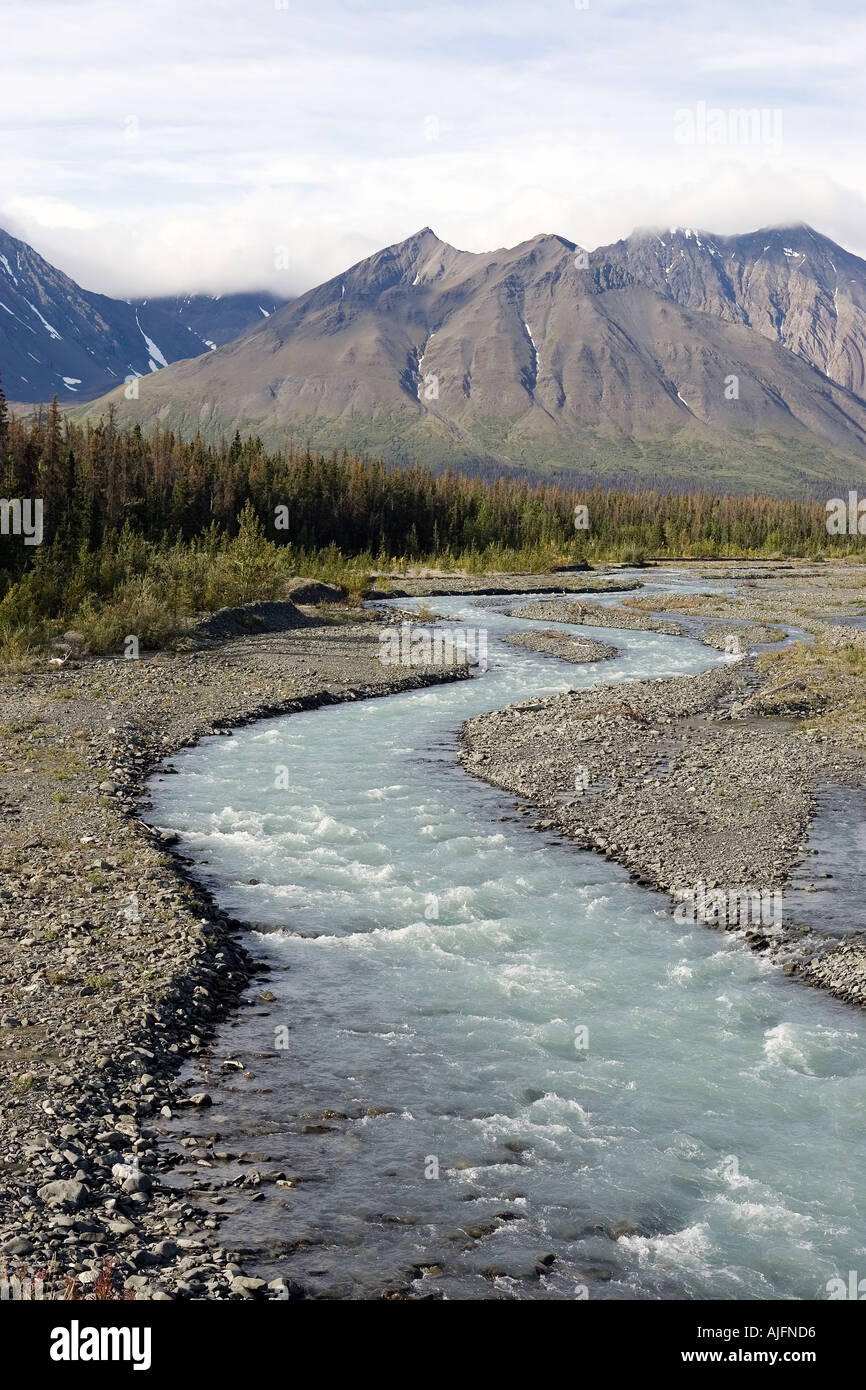 Canada yukon yukon wildlife preserve hi-res stock photography and ...