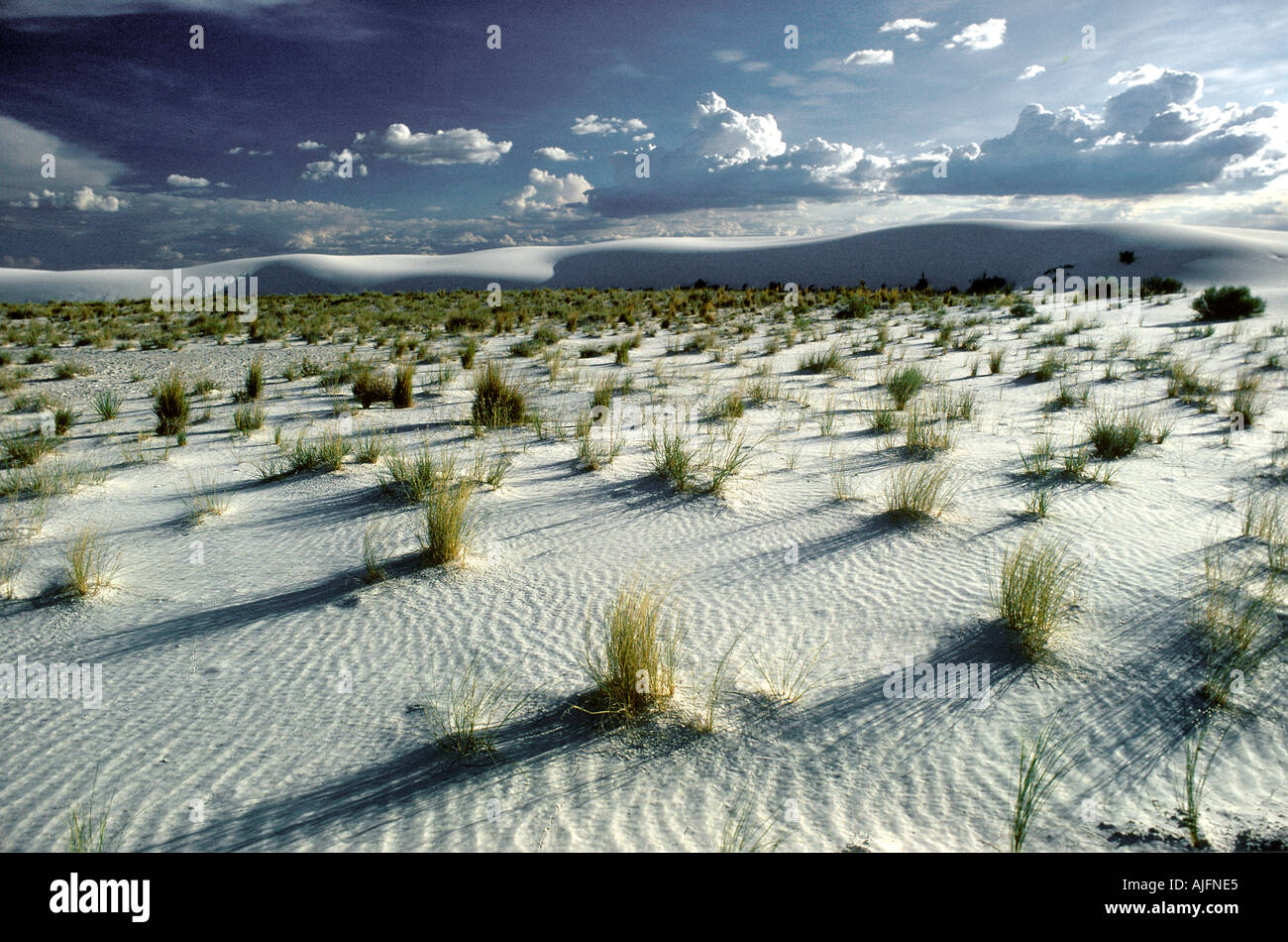 Gypsum Sand Dunes White Sands National Park, New Mexico Stock Photo - Alamy
