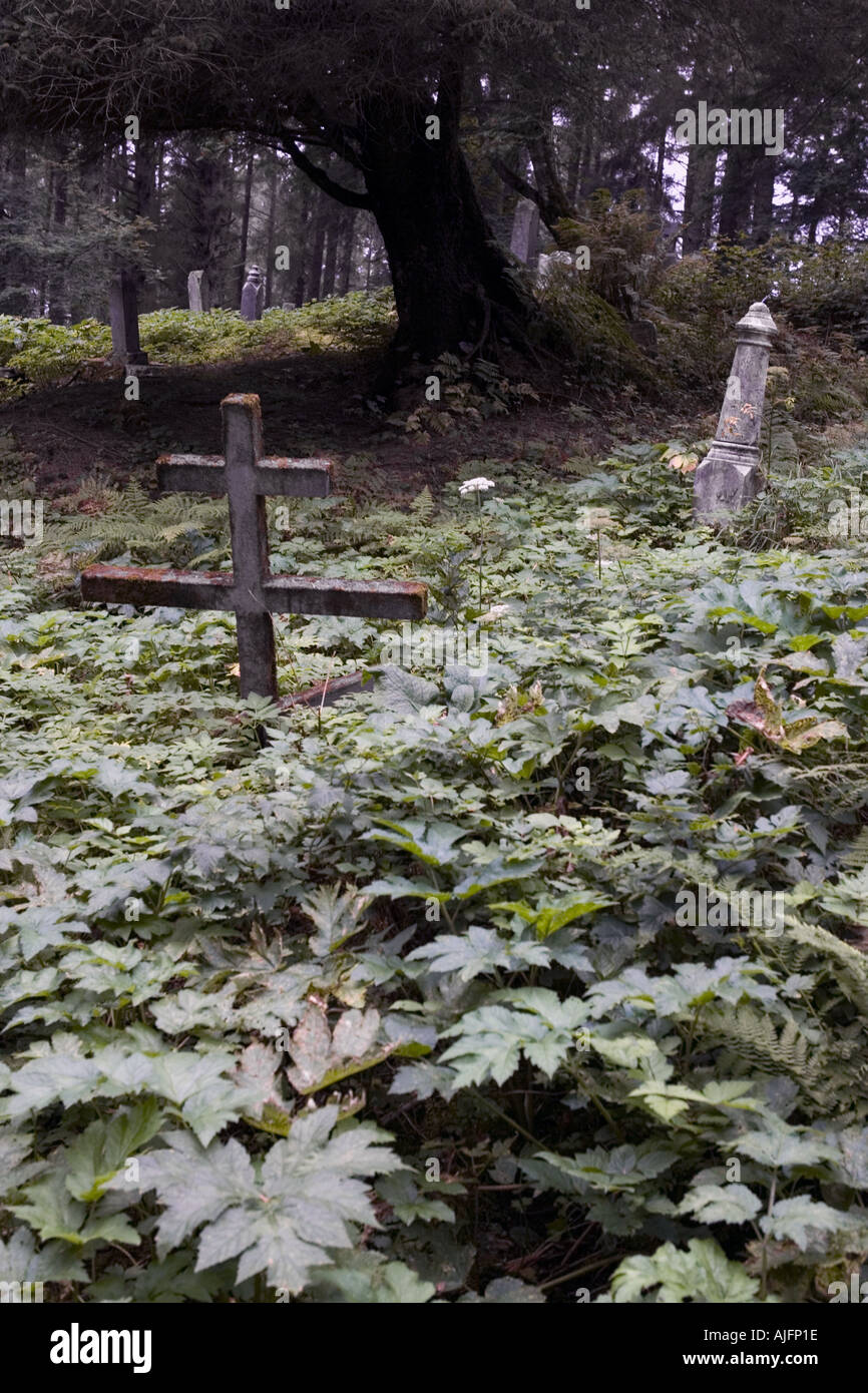 Unattended cemetery hi-res stock photography and images - Alamy
