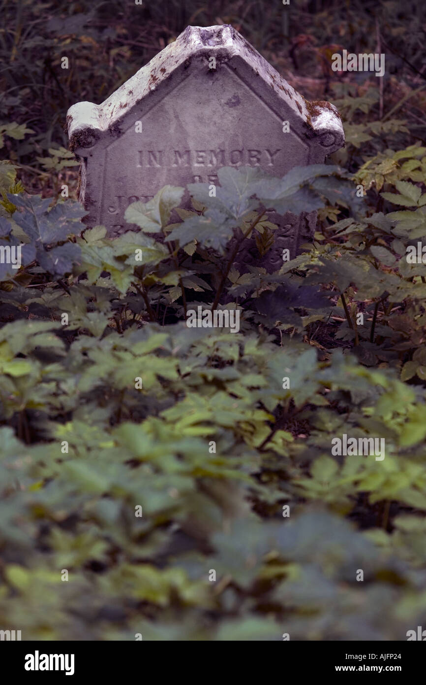 Grave in the old Russian Cemetery in Sitka Alaska Stock Photo - Alamy