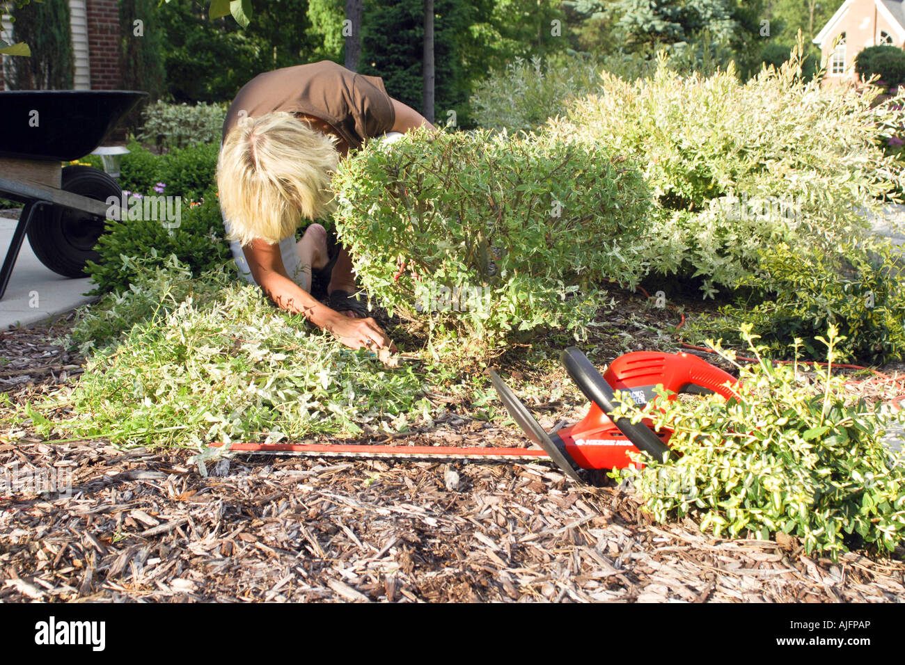 Using hand clippers hi-res stock photography and images - Alamy