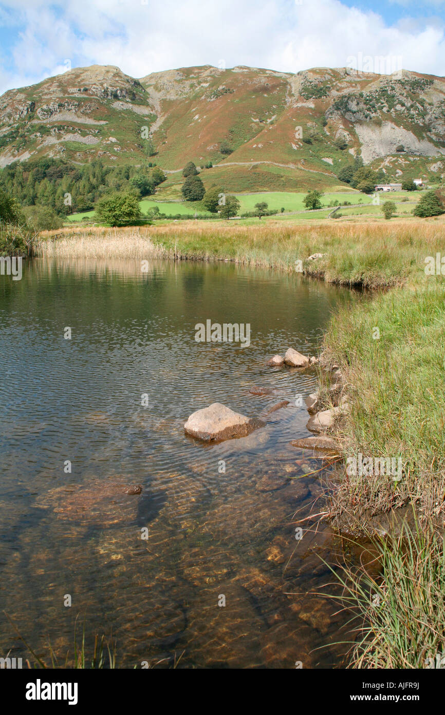 Blea Tarn, Little Langdale, Cumbria, England Stock Photo - Alamy