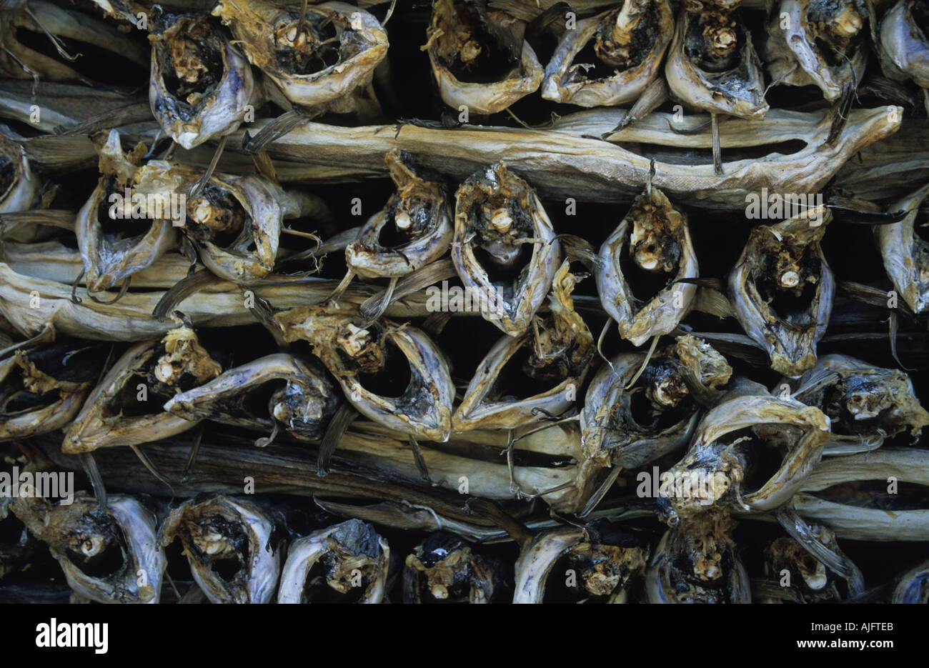 Torrfisk hi-res stock photography and images - Alamy