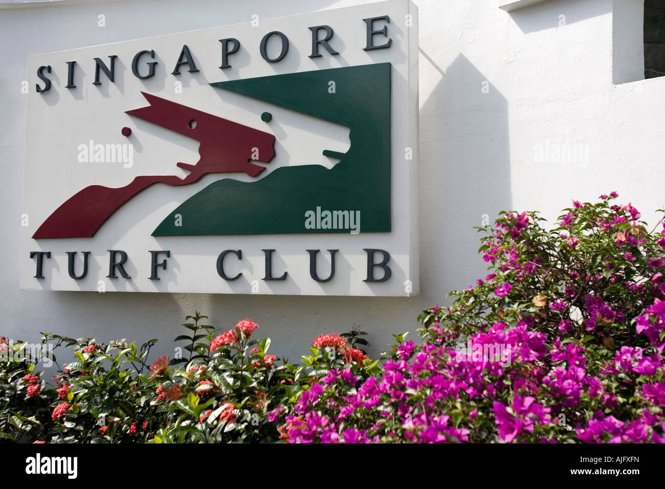 Emblem horse club logo hi-res stock photography and images - Alamy