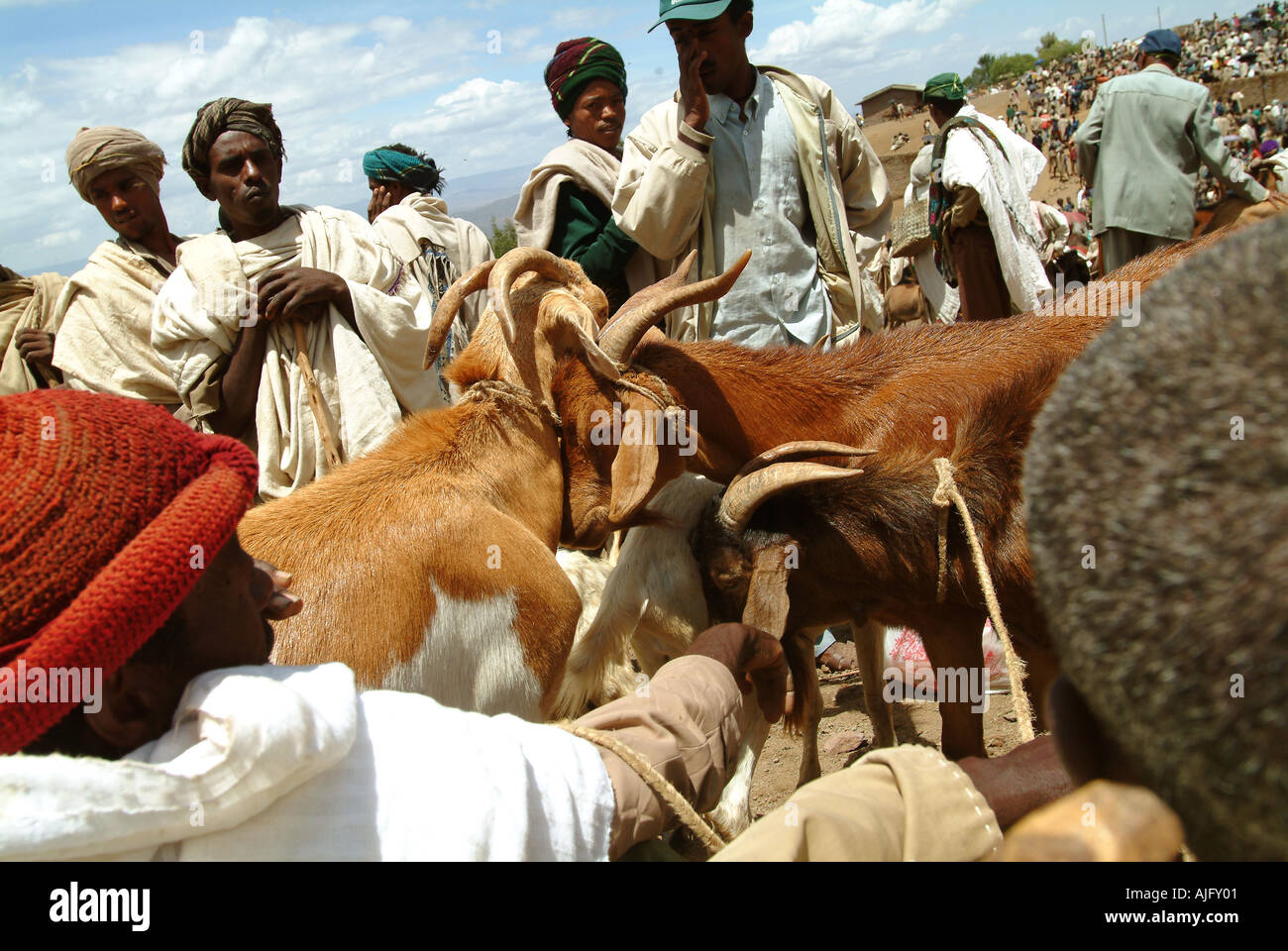 Market day lalibela ethiopia hi-res stock photography and images - Alamy
