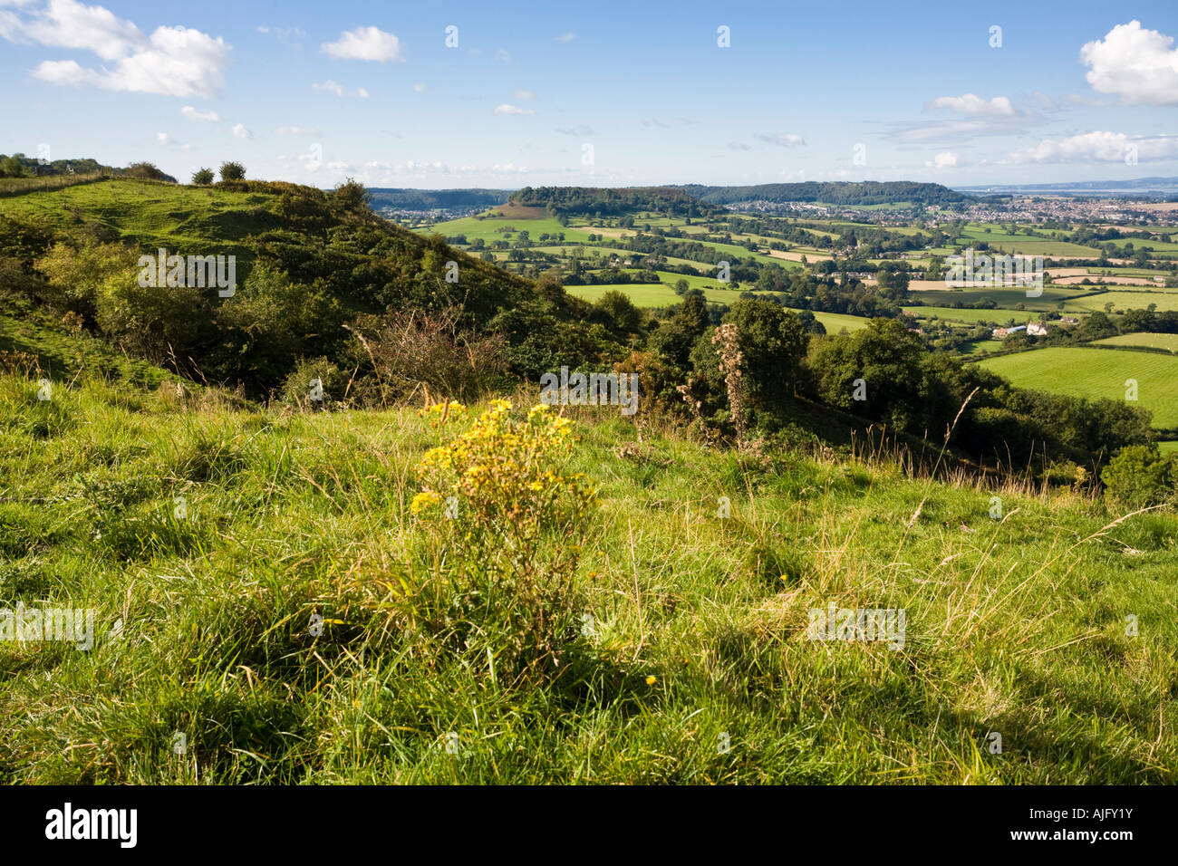 Stinchcombe hill hi-res stock photography and images - Alamy