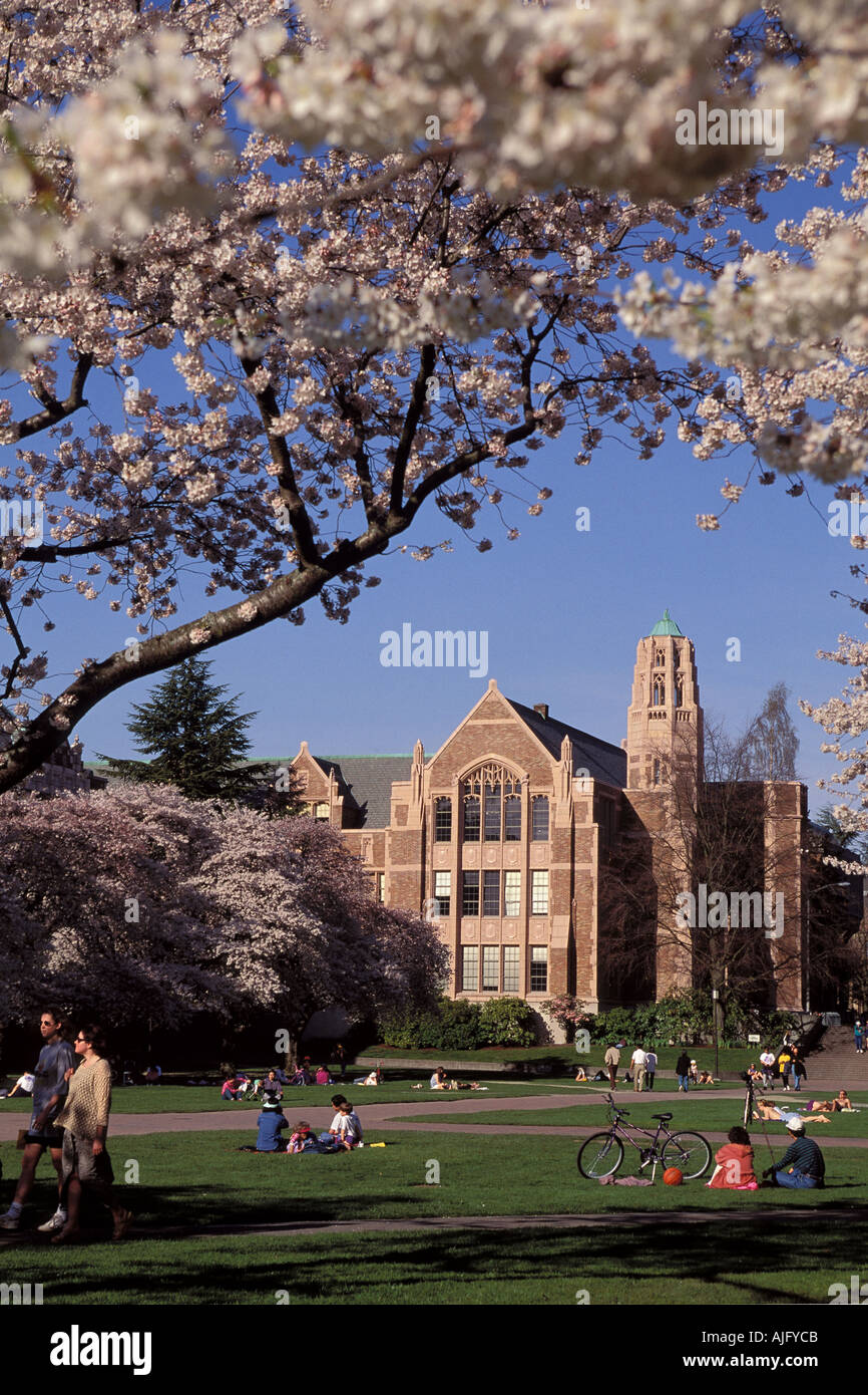 Seattle Washington Families And Students Enjoy Spring Weather Blossoms ...