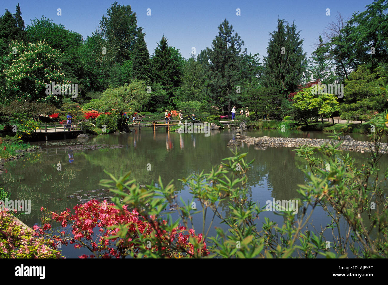 Spring Japanese Garden at the University of Washington arboretum ...