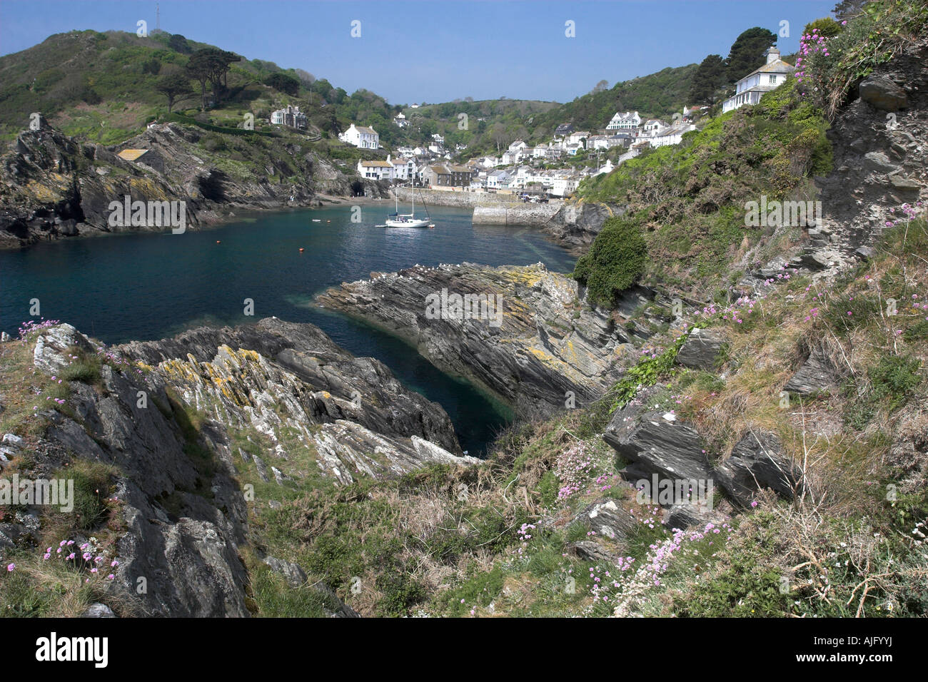 View of Polperro Harbour from West Cliffs Stock Photo - Alamy