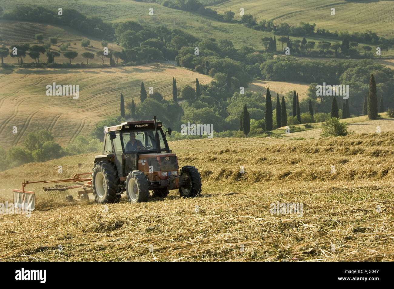 Farmer working his crops in Italy Stock Photo - Alamy
