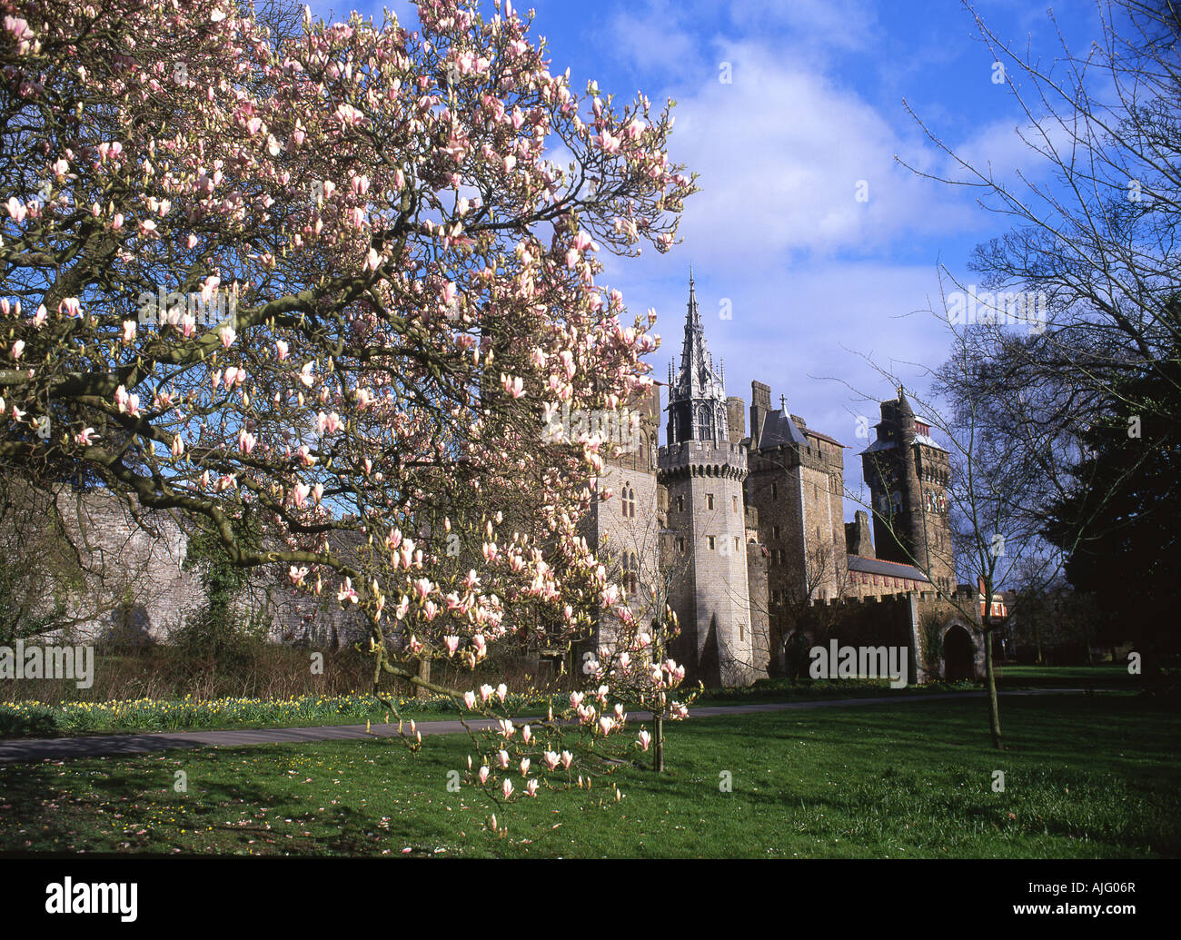 Cooper's field cardiff hi-res stock photography and images - Alamy