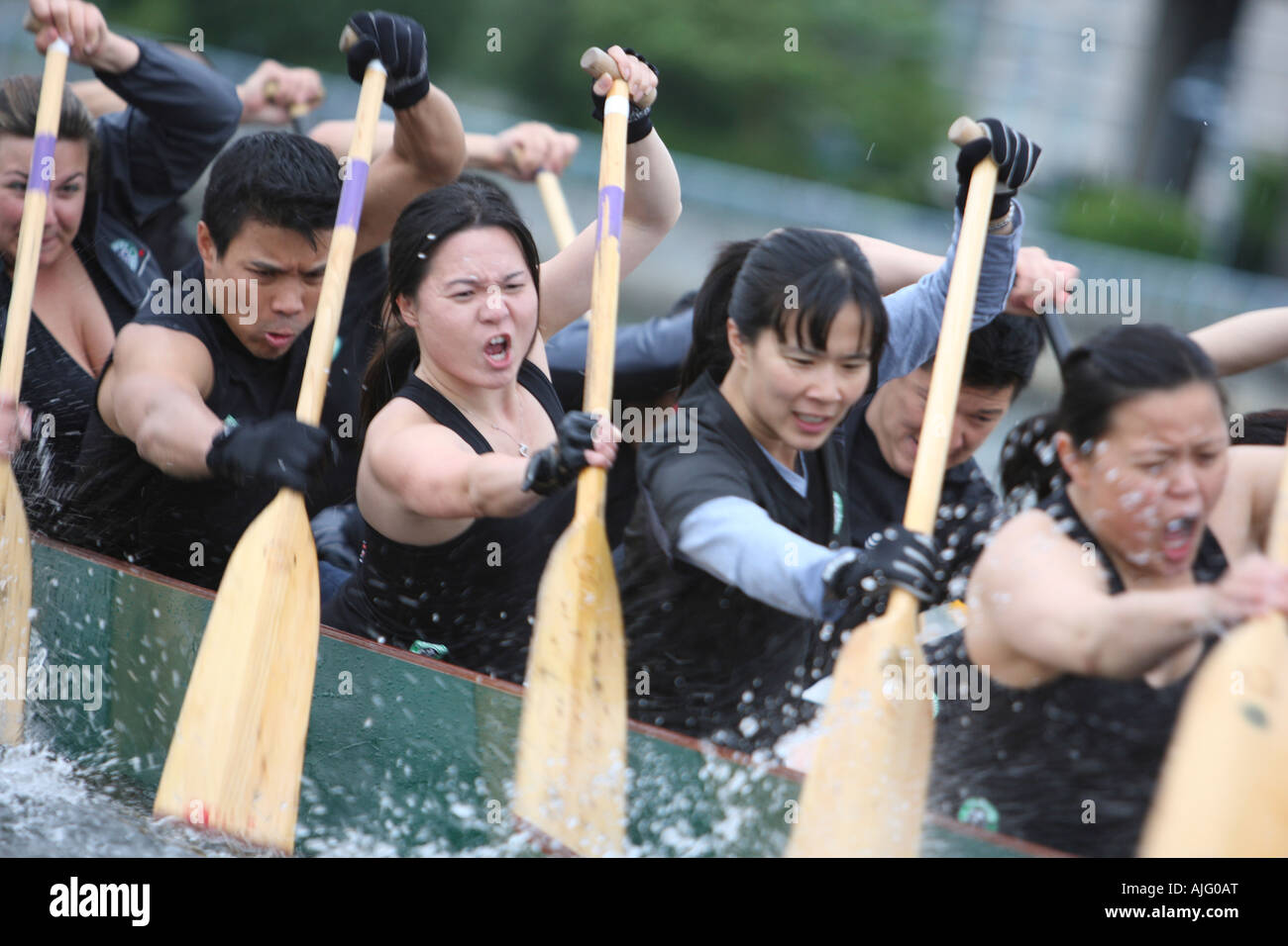 Team dragon boat racing, working together Stock Photo - Alamy