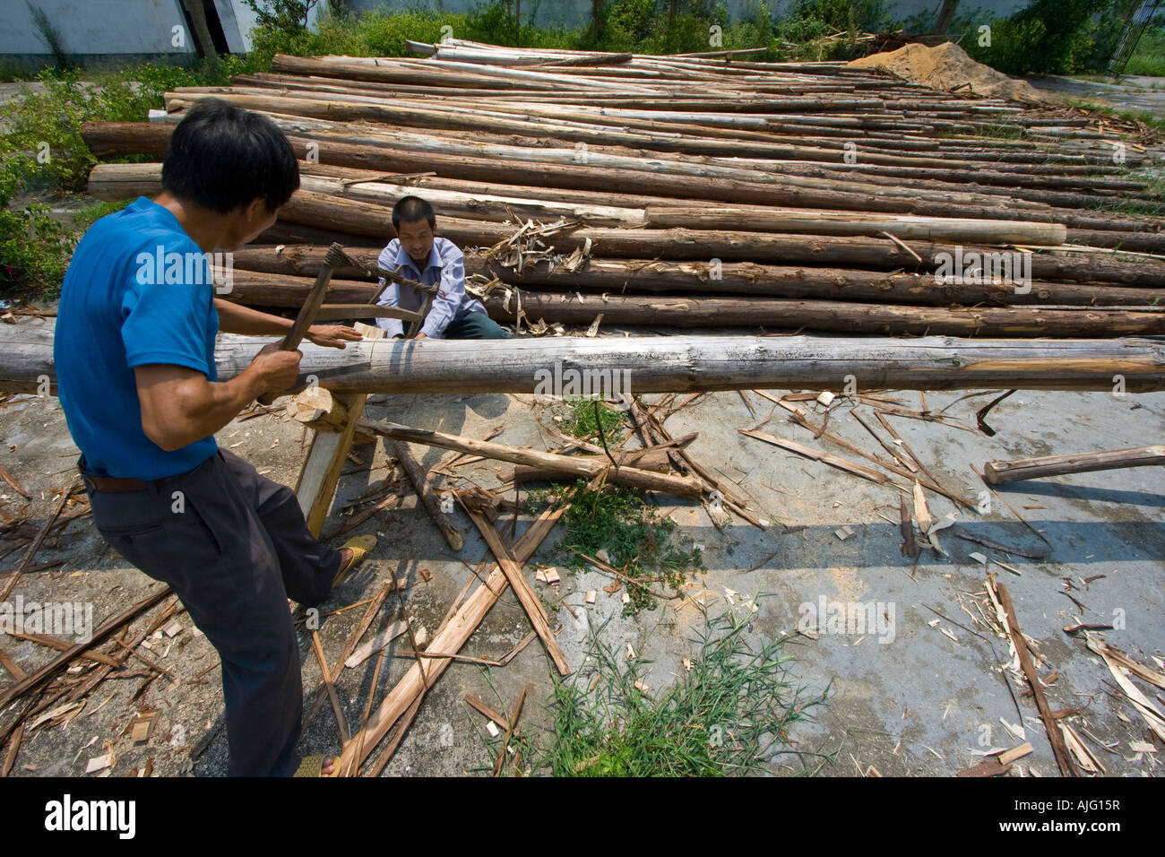 Chinese Workmen Cutting Tree Trunk Lumber Likeng China Stock Photo - Alamy