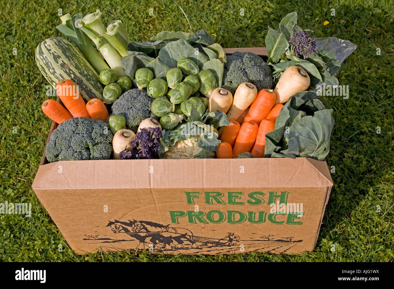 Cardboard box of fresh locally grown vegetables Cotswolds UK Stock ...