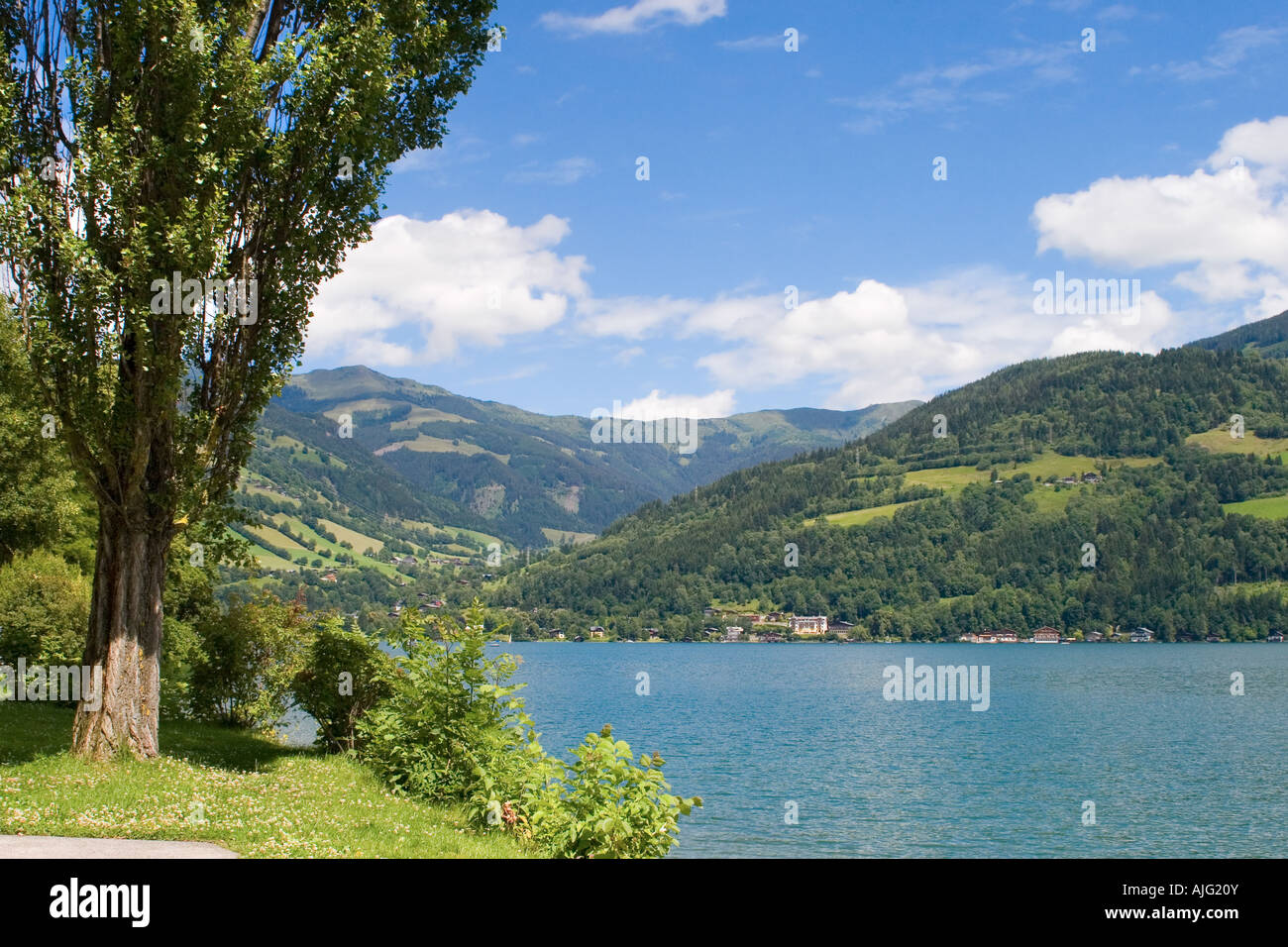 Zeller see in the summer Stock Photo - Alamy