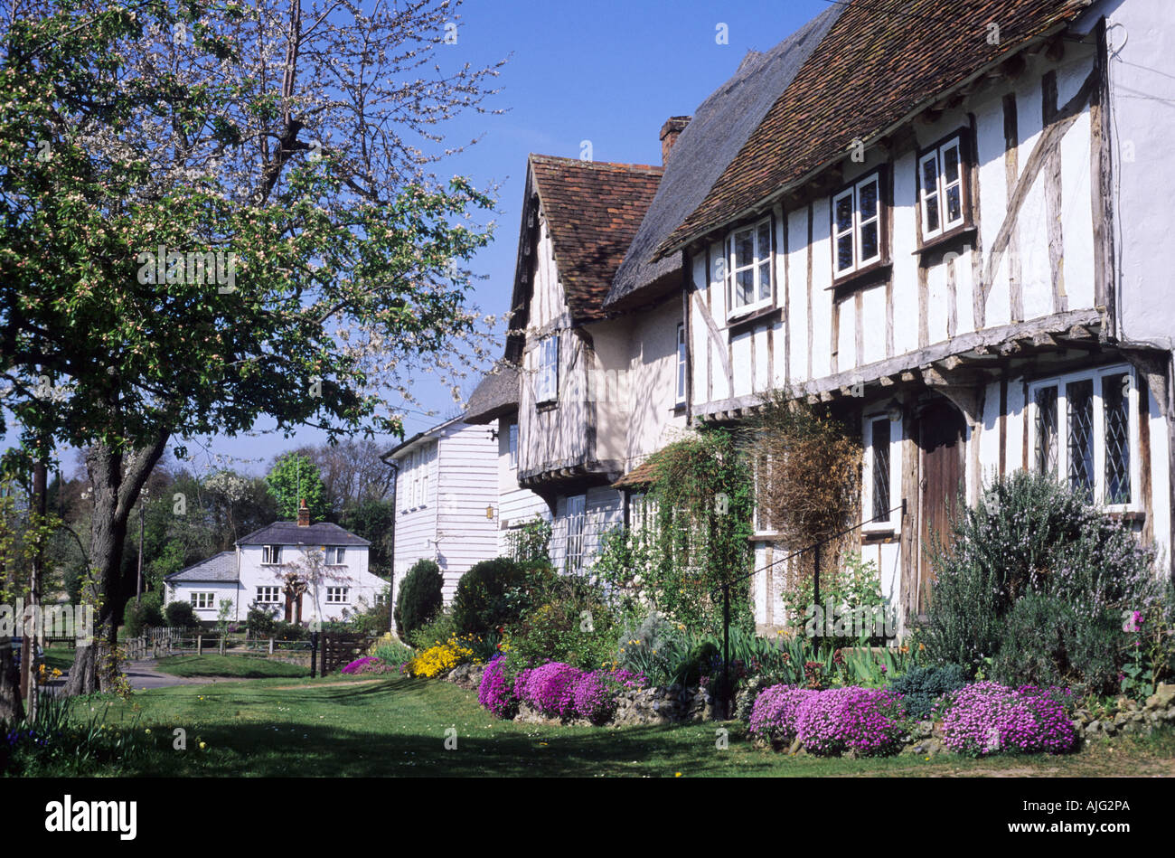 Clavering High Resolution Stock Photography and Images - Alamy