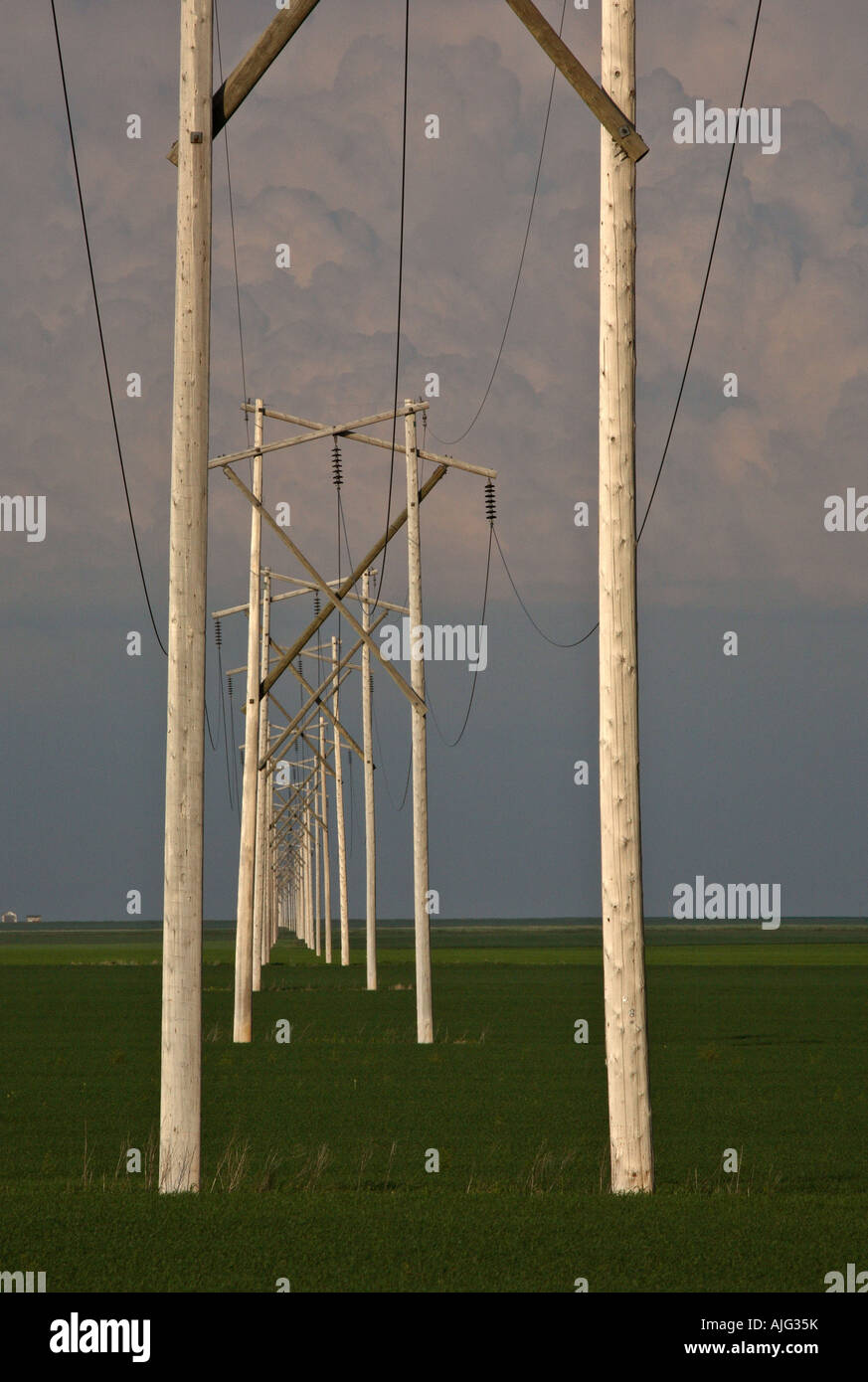 Line of power poles in scenic Saskatchewan Stock Photo - Alamy