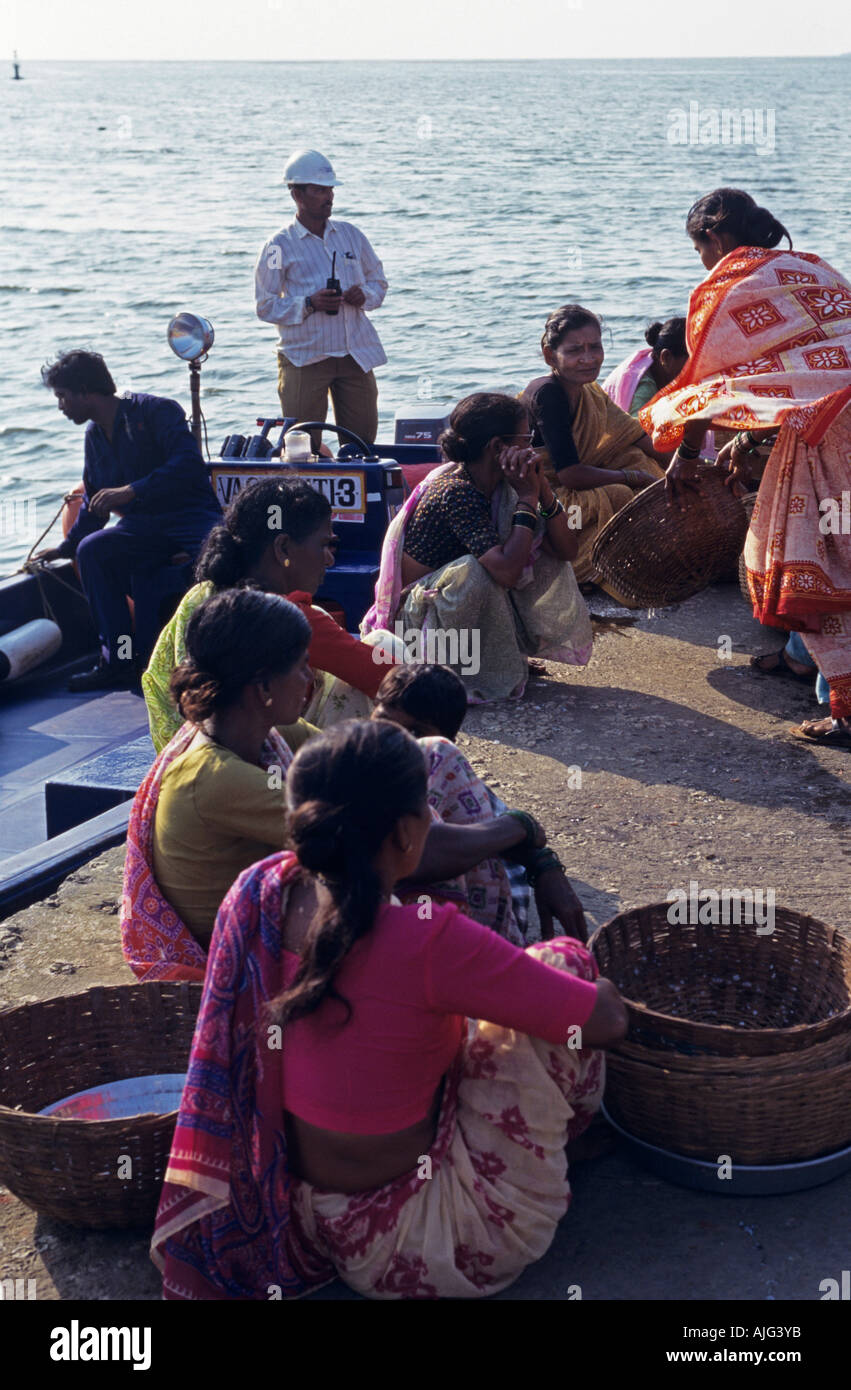 Indian women buying and selling newly caught fresh fish at fish market ...