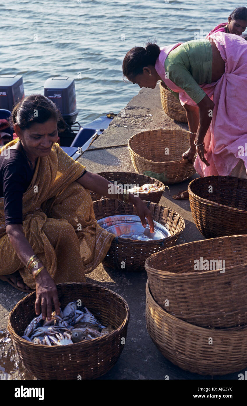 Indian women buying and selling newly caught fresh fish at fish market ...