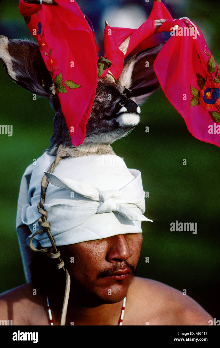 deer head dress Stock Photo - Alamy