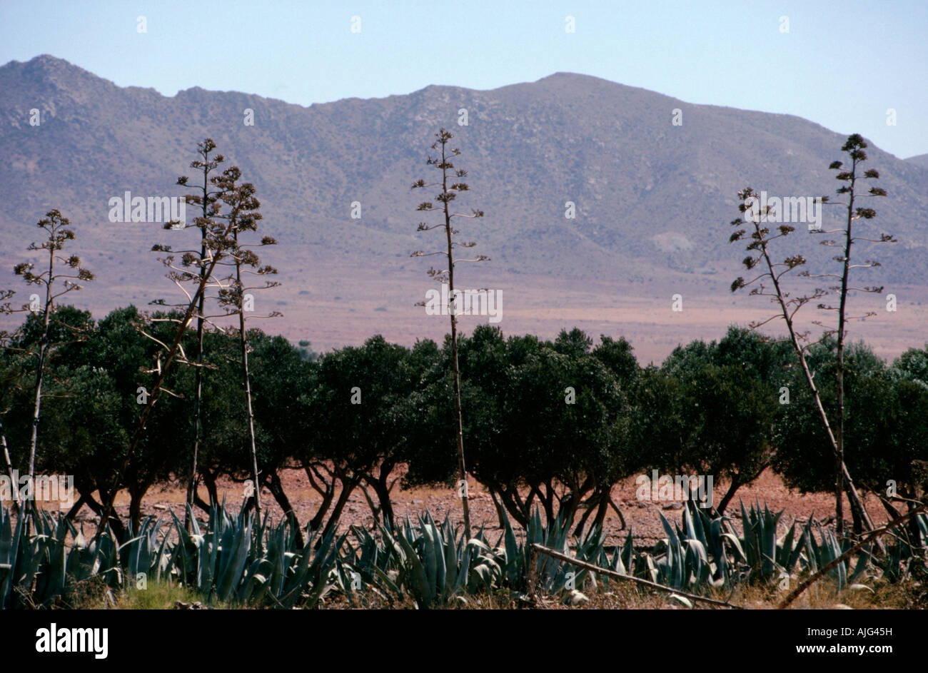 Sierra cabo de gata hi-res stock photography and images - Alamy