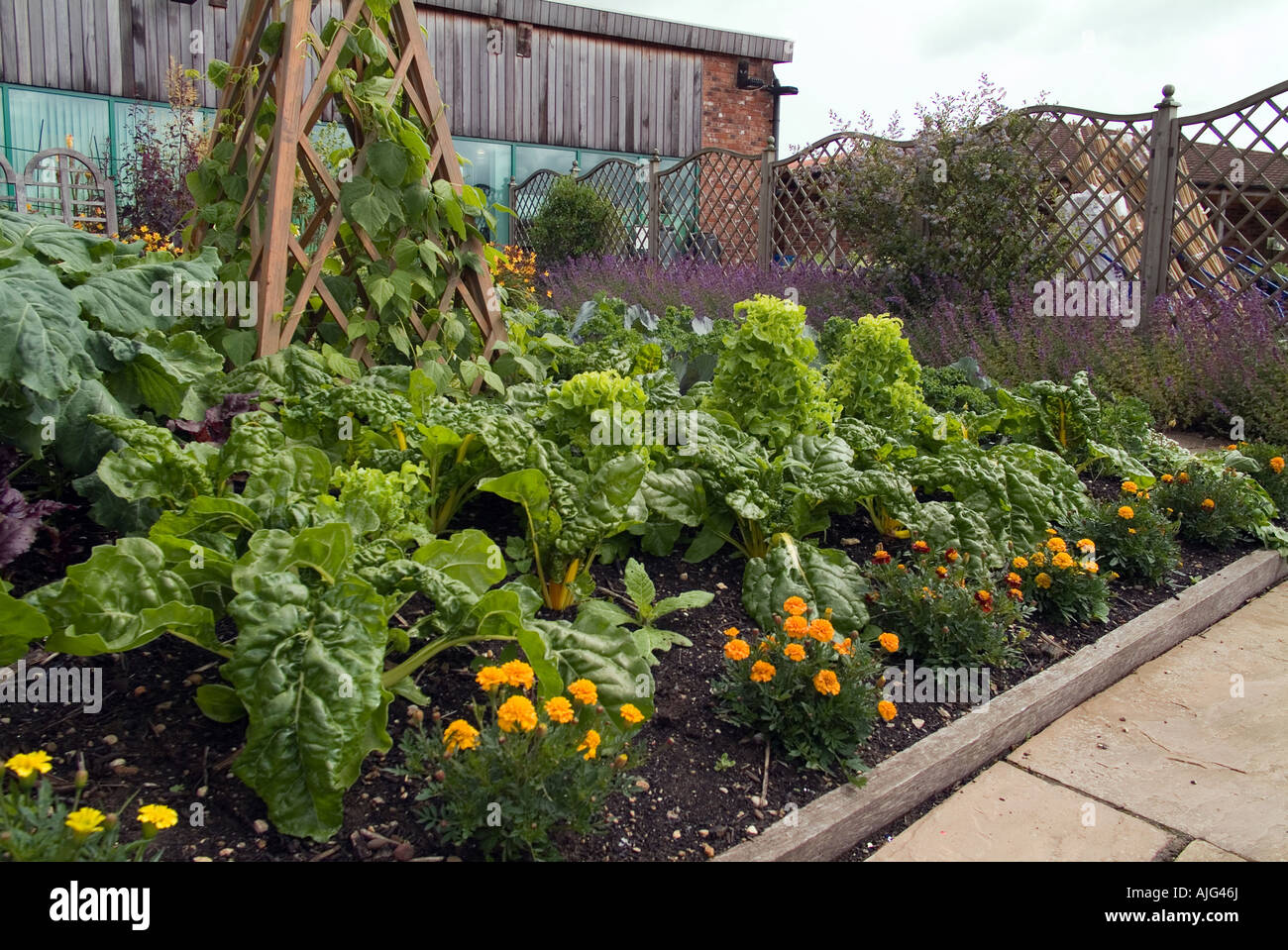 Vegetable Garden at Garden organic, Ryton, Warwickshire Stock Photo - Alamy