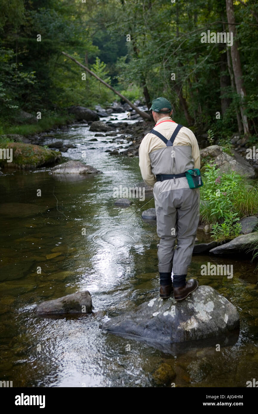 Rising trout hi-res stock photography and images - Alamy