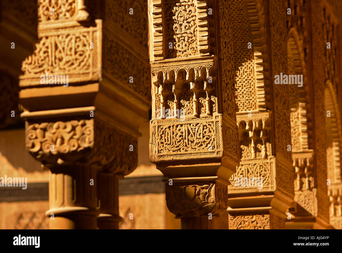 The intricate carving work on the elegant columns that surround the ...