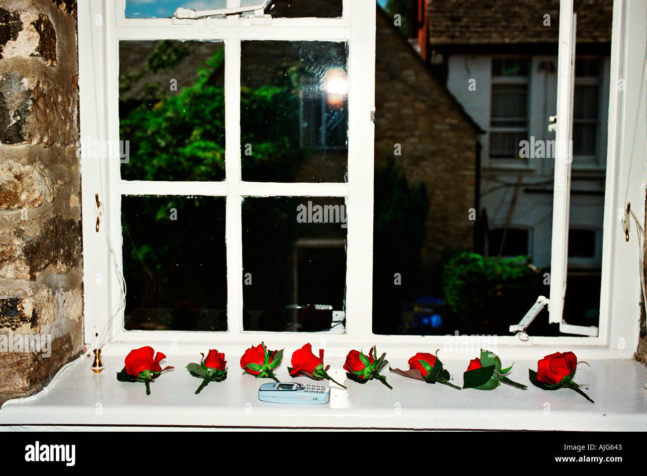 Window with flowers Stock Photo - Alamy