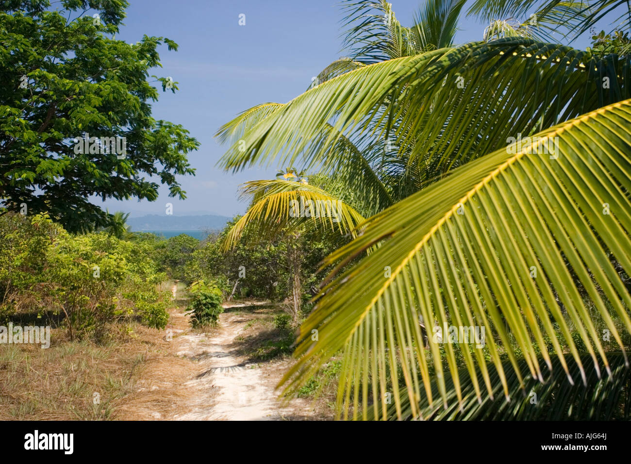 Unmade road track pathway hi-res stock photography and images - Alamy