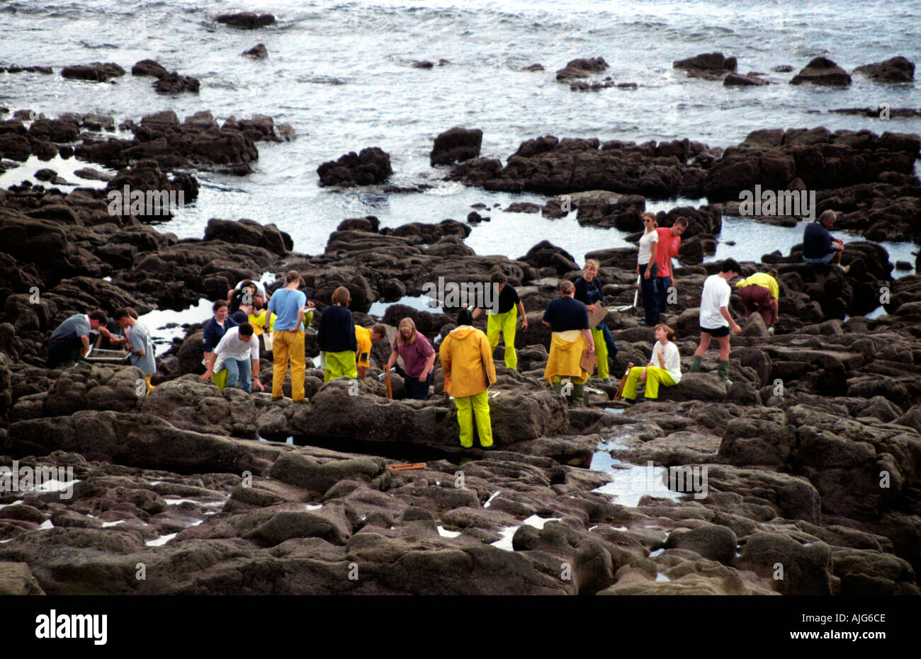 School field trip beach hi-res stock photography and images - Alamy