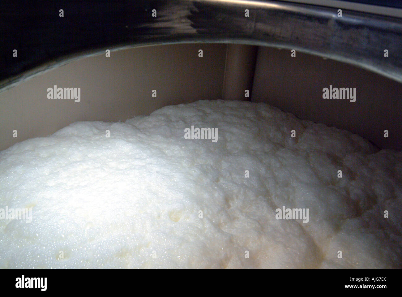 Sake production process at the Gekkeikan Company in Fushimi Kyoto Japan ...