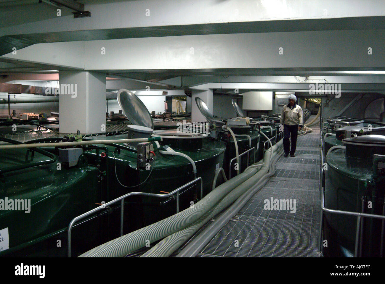 Japanese sake production hi-res stock photography and images - Alamy