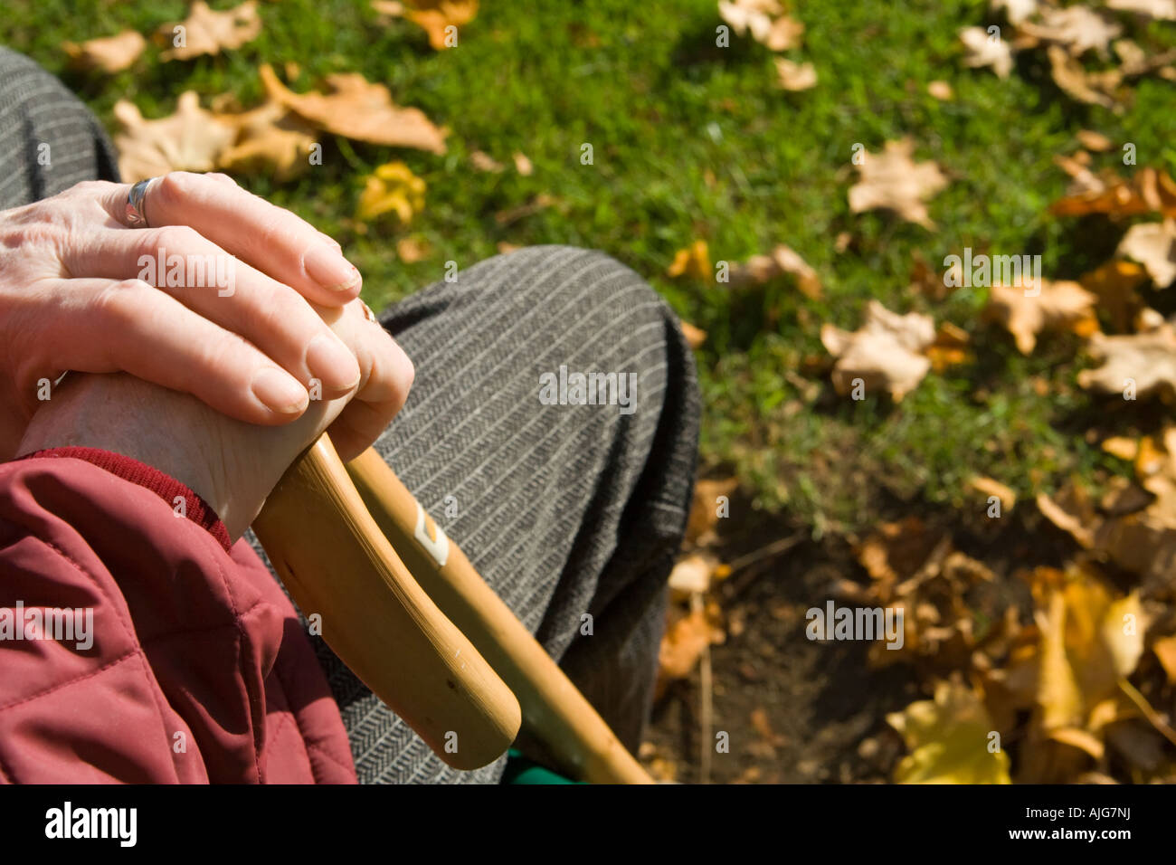 Hand on walking stick hi-res stock photography and images - Alamy