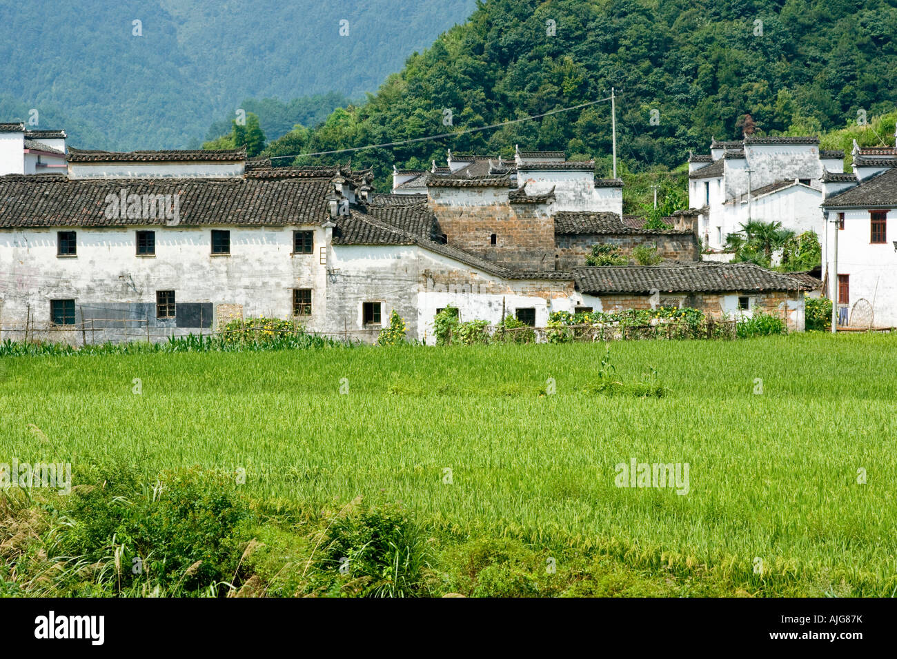 Ancient Rural Village and Rice Fields Likeng Wuyuan County China Stock ...