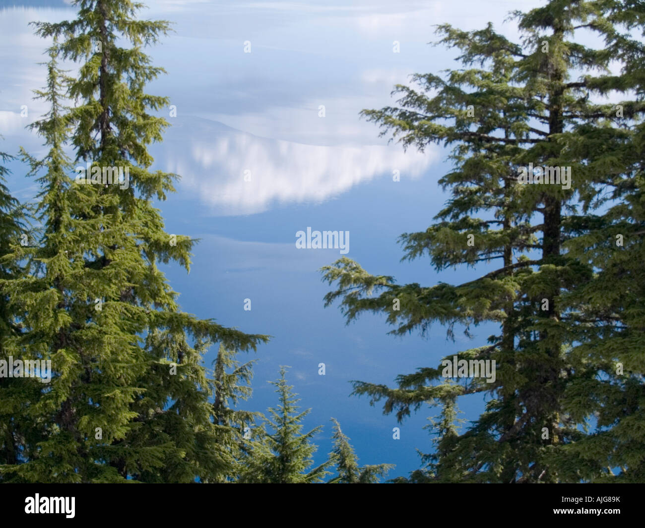 Lake and trees Stock Photo - Alamy