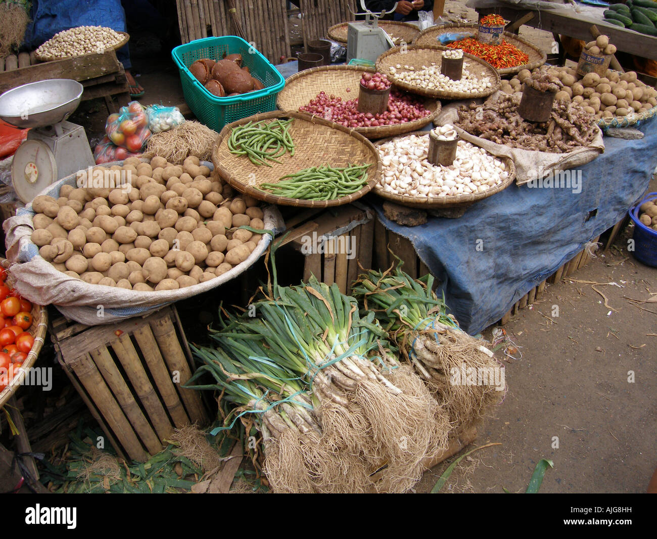 Fresh food produce in Tomahon market, North Sulawesi, Indonesia Stock ...