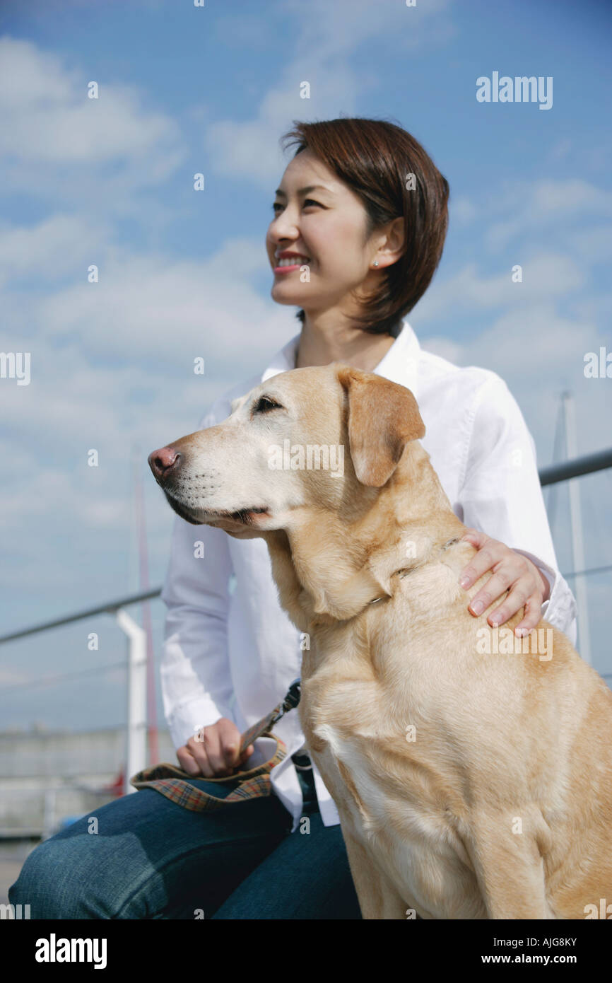 Side view yellow labrador retriever hi-res stock photography and images ...