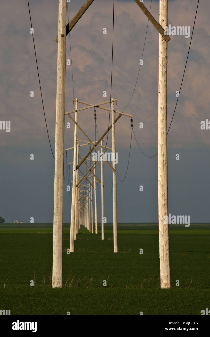 Line of power poles hi-res stock photography and images - Alamy