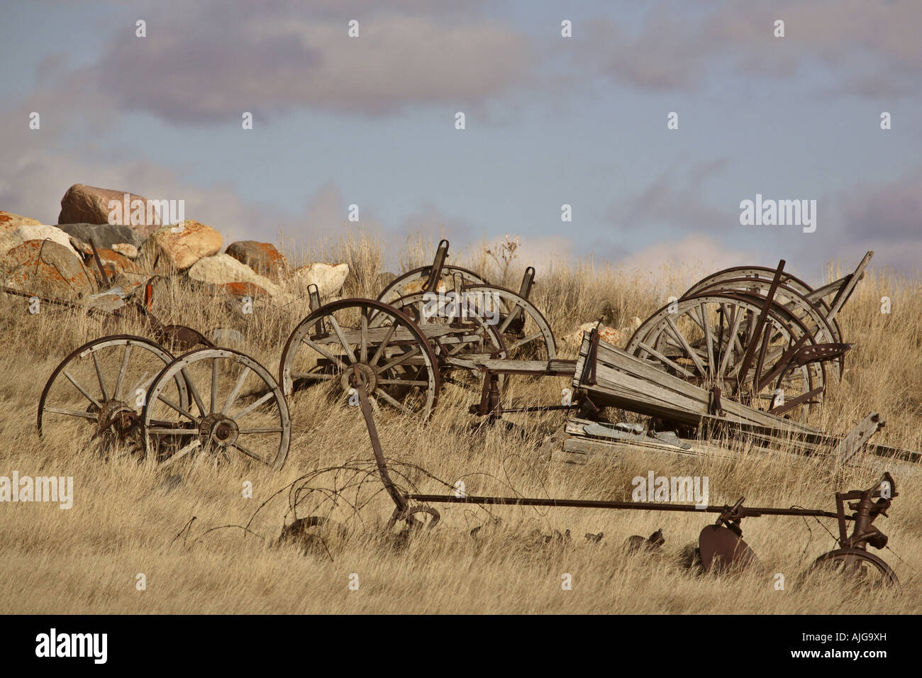 Old farm machinery and wagon wheels left in field Stock Photo - Alamy
